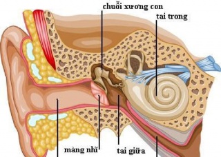 Bệnh Mất chức năng vòi nhĩ: Nguyên nhân, biến chứng và cách điều trị