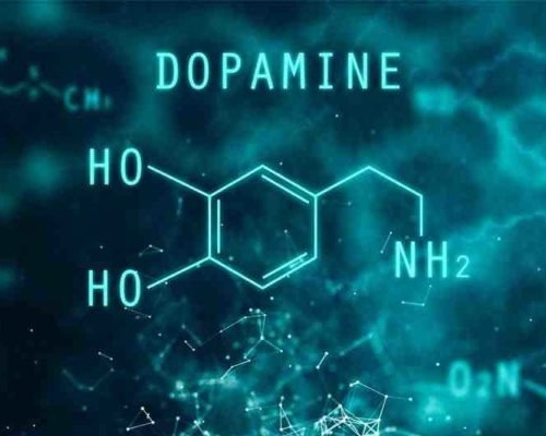 Dopamine là gì?, Tác dung và ảnh hưởng đến cơ thể như thế nào?