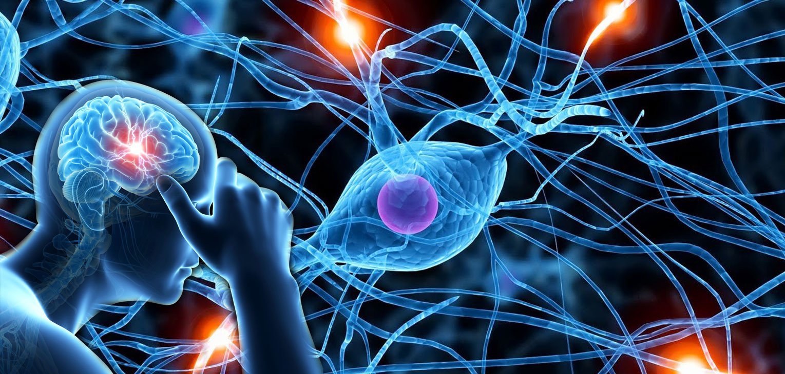 Myelin: 'Áo giáp' bảo vệ các tế bào thần kinh của bạn